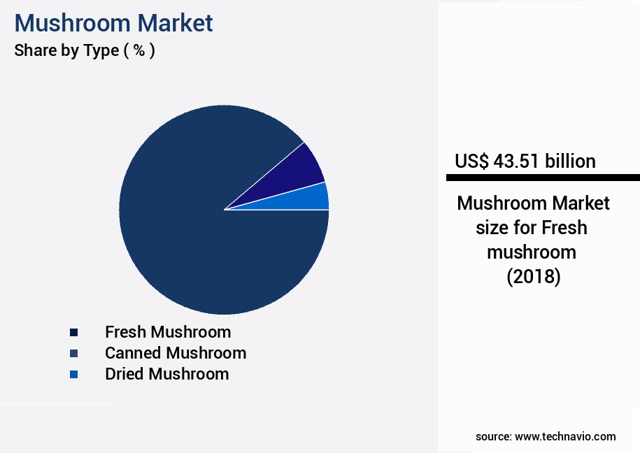 Mushroom Market Growth Analysis - Size and Forecast 2024-2028 ...